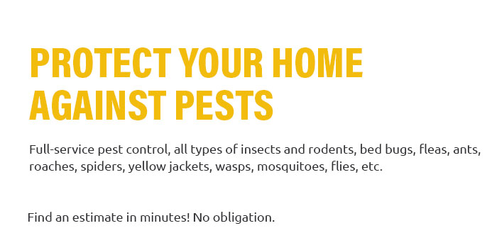 Best Pest Control Columbus Ohio 🥇 Jun 2025